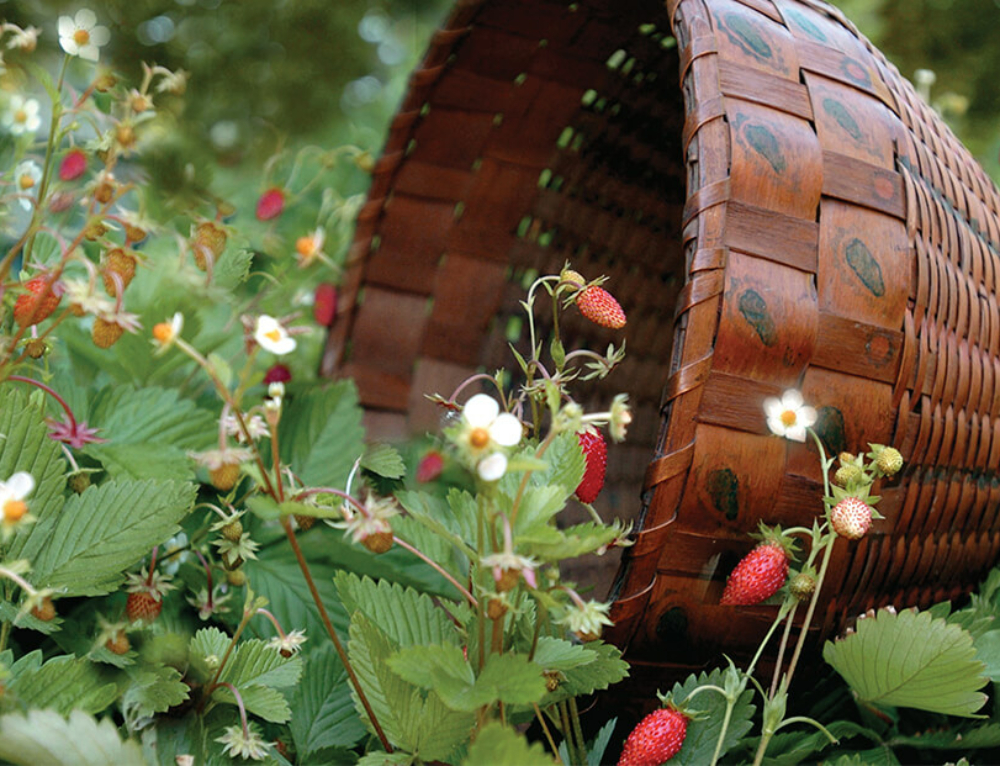 The Traditional Haudenosaunee Longhouse - Oneida Indian Nation