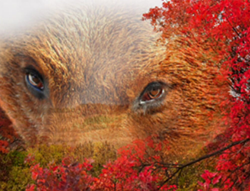 The Legend of the Three Sisters - Oneida Indian Nation