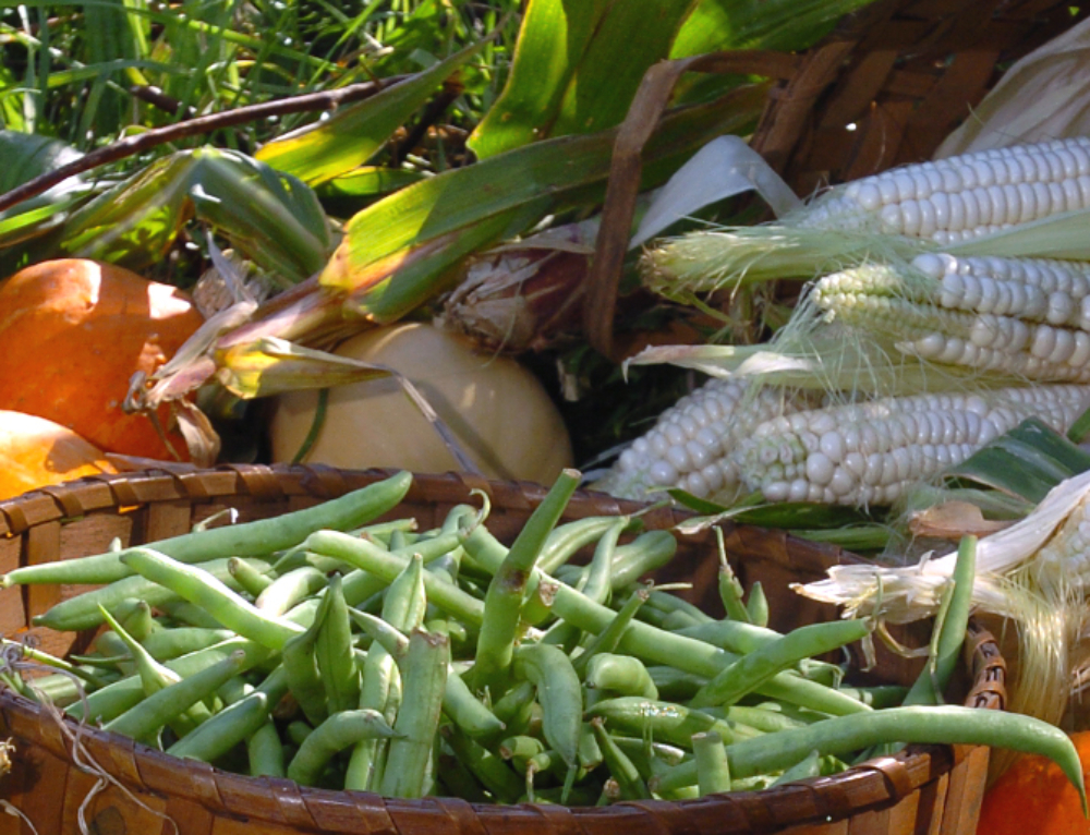 Haudenosaunee Hunting and Fishing Techniques - Oneida Indian Nation